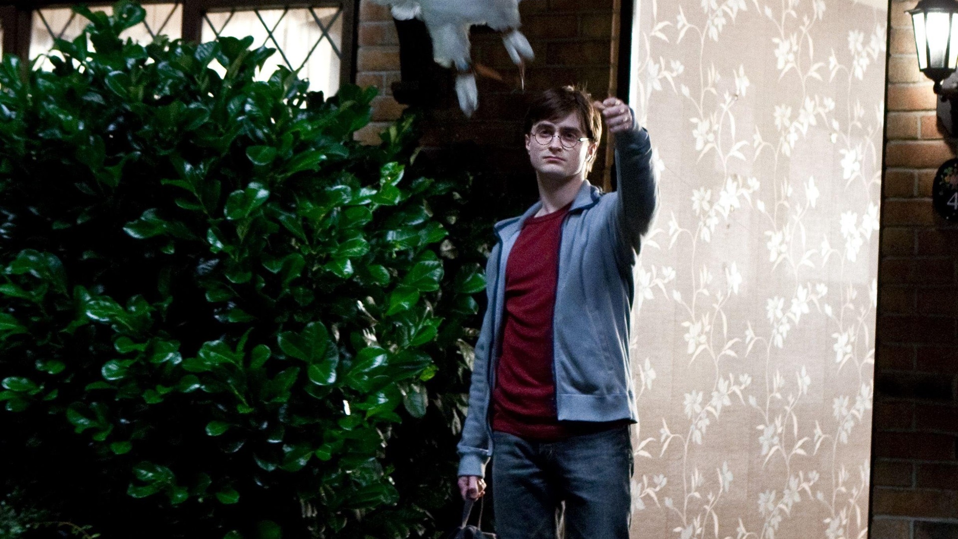 Potter Magic: A Beginner's Guide to the World of Harry Potter ...